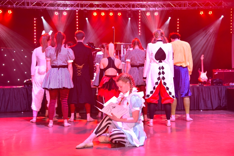 GALLERY – A Night in Wonderland raises thousands – The Voice
