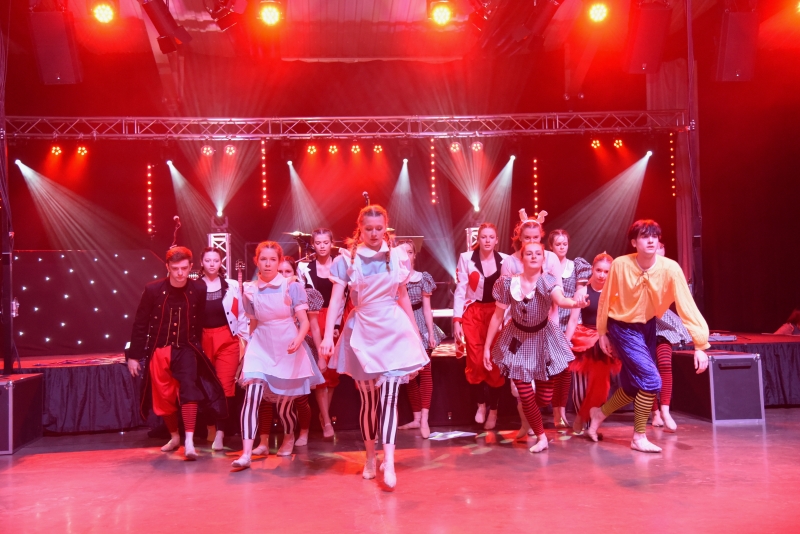 GALLERY – A Night in Wonderland raises thousands – The Voice