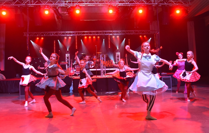 GALLERY – A Night in Wonderland raises thousands – The Voice