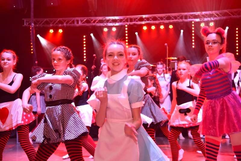 GALLERY – A Night in Wonderland raises thousands – The Voice