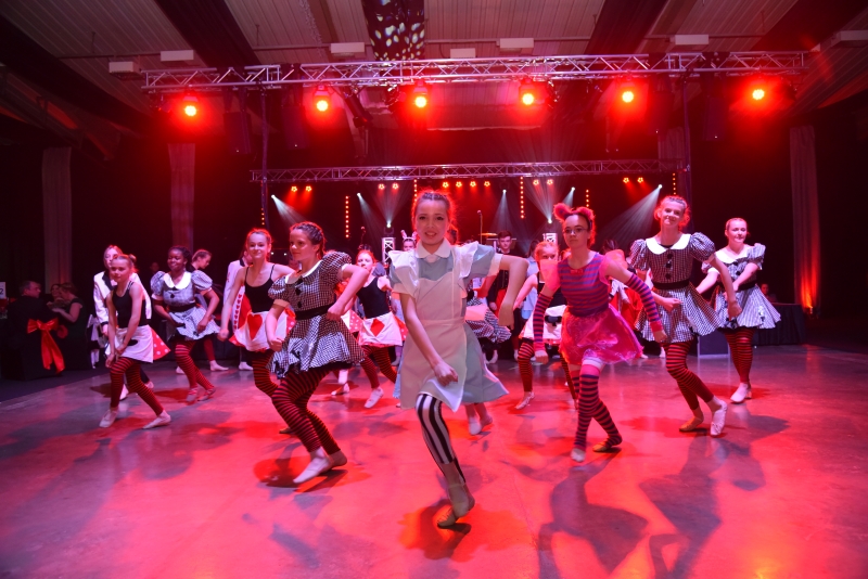 GALLERY – A Night in Wonderland raises thousands – The Voice