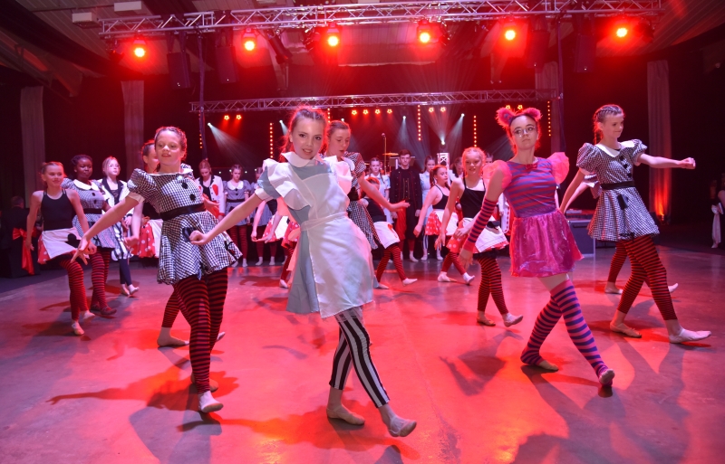 GALLERY – A Night in Wonderland raises thousands – The Voice