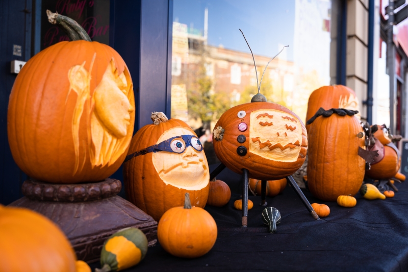 Pumpkin festival proves popular – The Voice