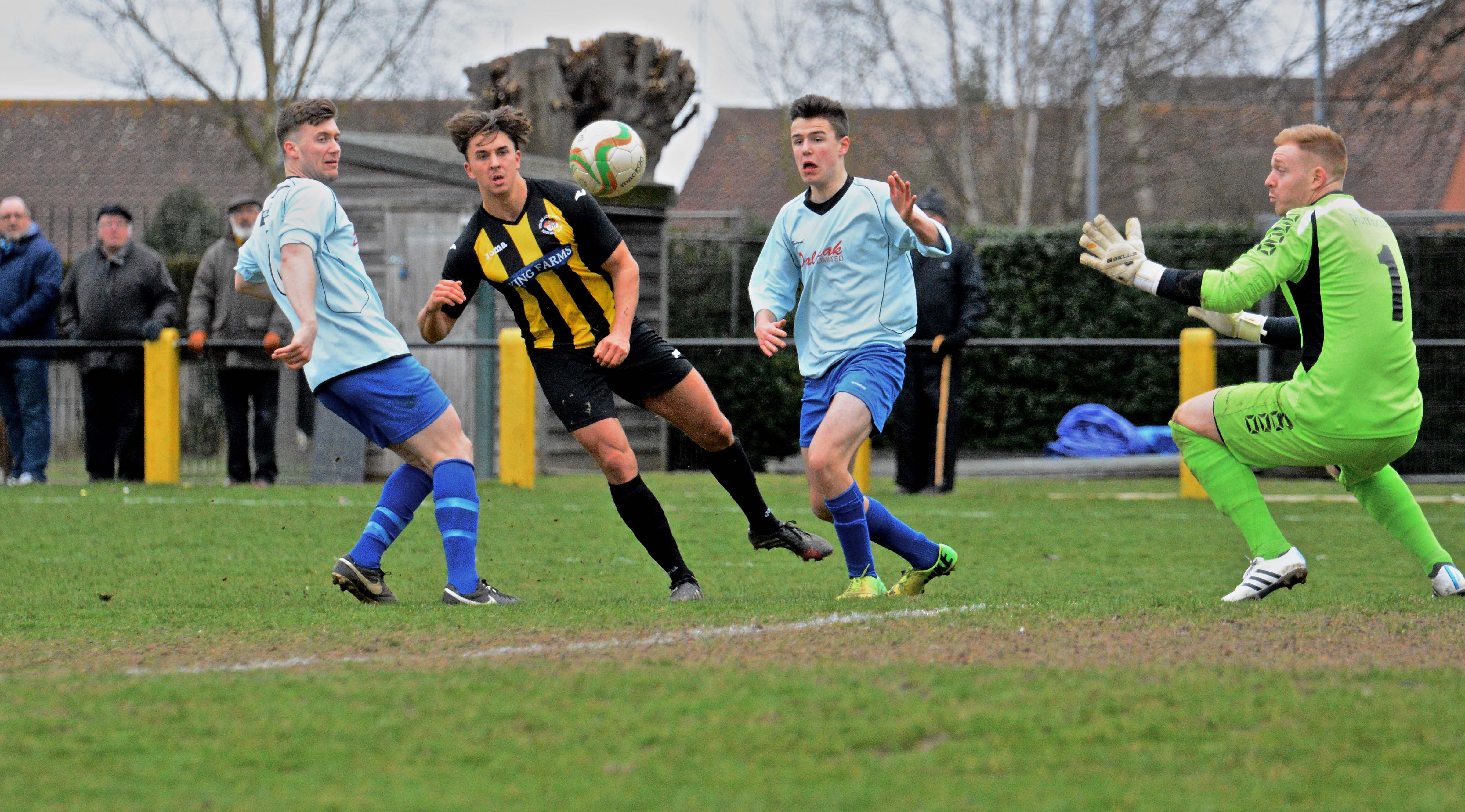 Tulips and Tigers enjoy super Saturday successes - The Voice