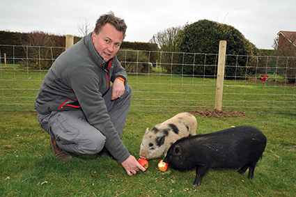Lambs and micro pigs bring the cuteness factor to new Farm Yard - The Voice