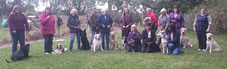 Happy 40th birthday to Spalding and District Dog Training Club - The Voice
