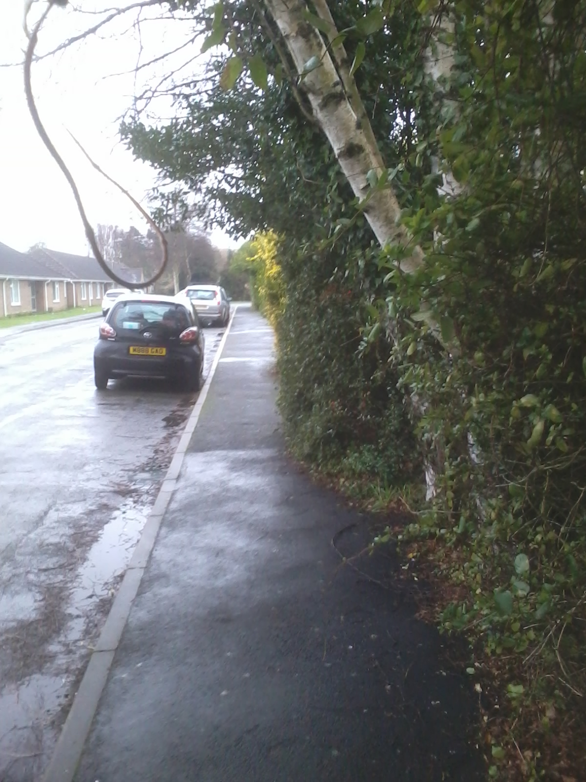 Pedestrians pushed out by badly-parked cars and overgrown hedges - The ...