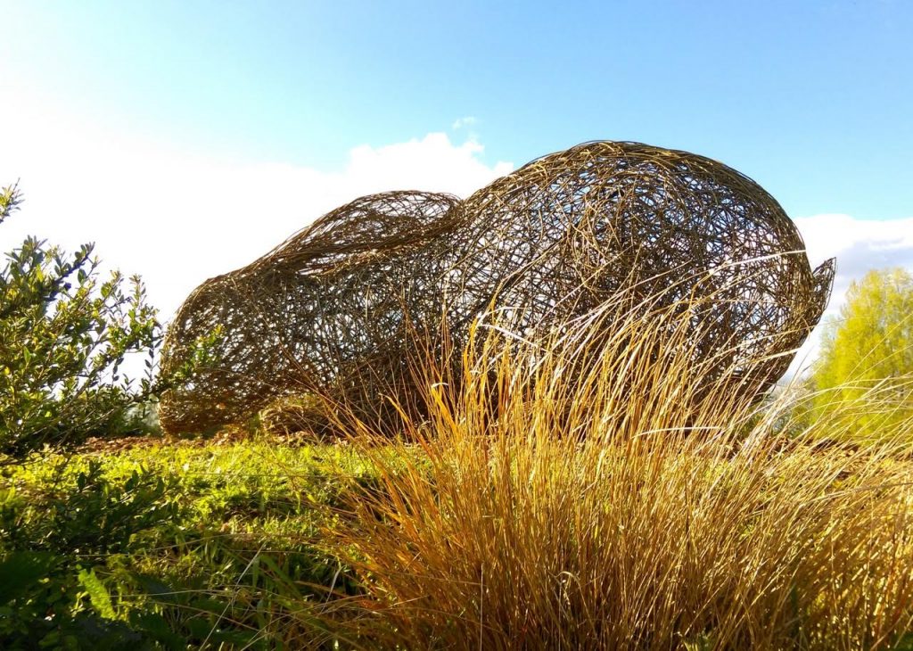 Giant rabbits spotted in Surfleet park - The Voice