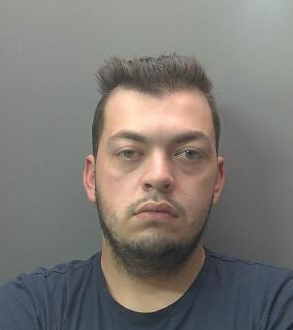 Bungling Dear caught behind headlights – The Voice