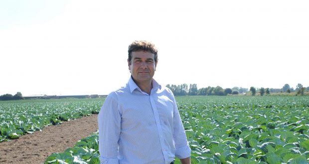 Plans for £20m processing plant – The Voice