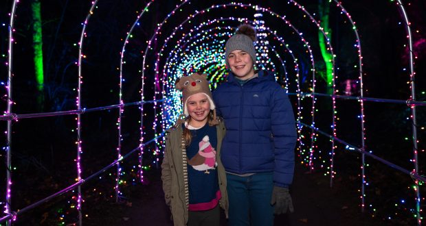 Lighting up the festive season – The Voice