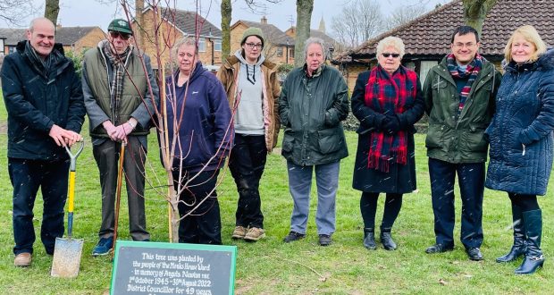 Tree memorial to former councillor – The Voice