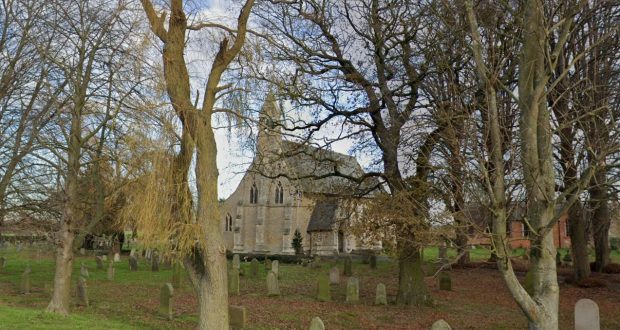 Flower festival set to bloom – The Voice