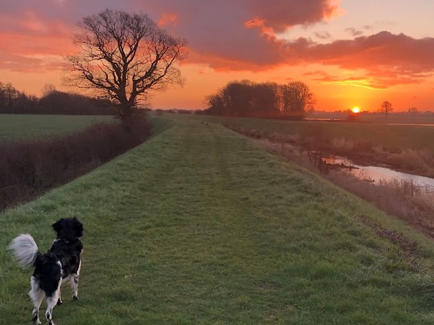 Vote for your top four photos - The Voice