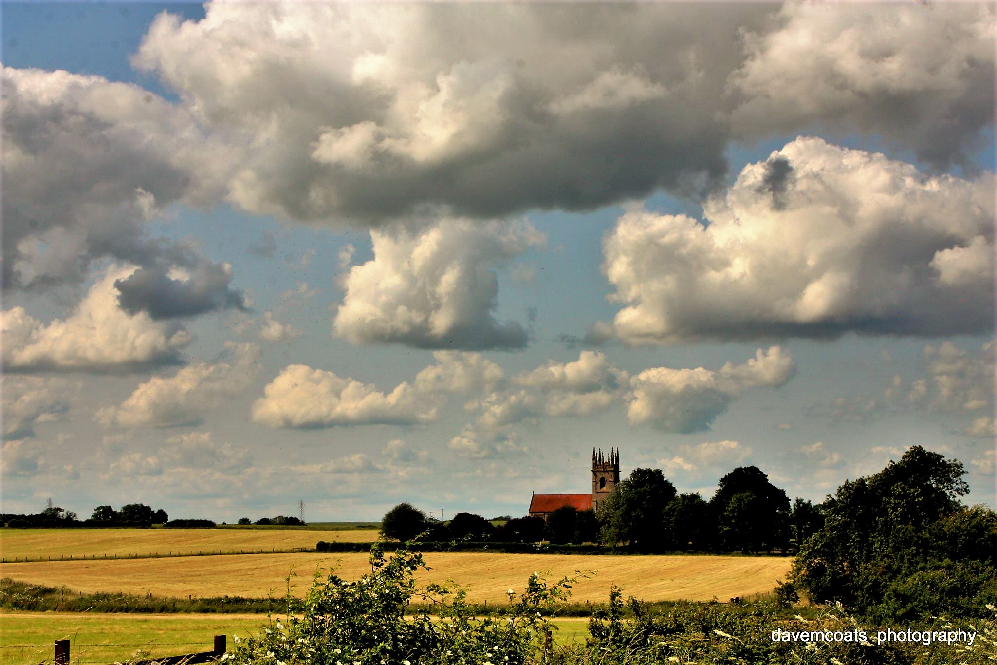 Vote for your top four photos - The Voice