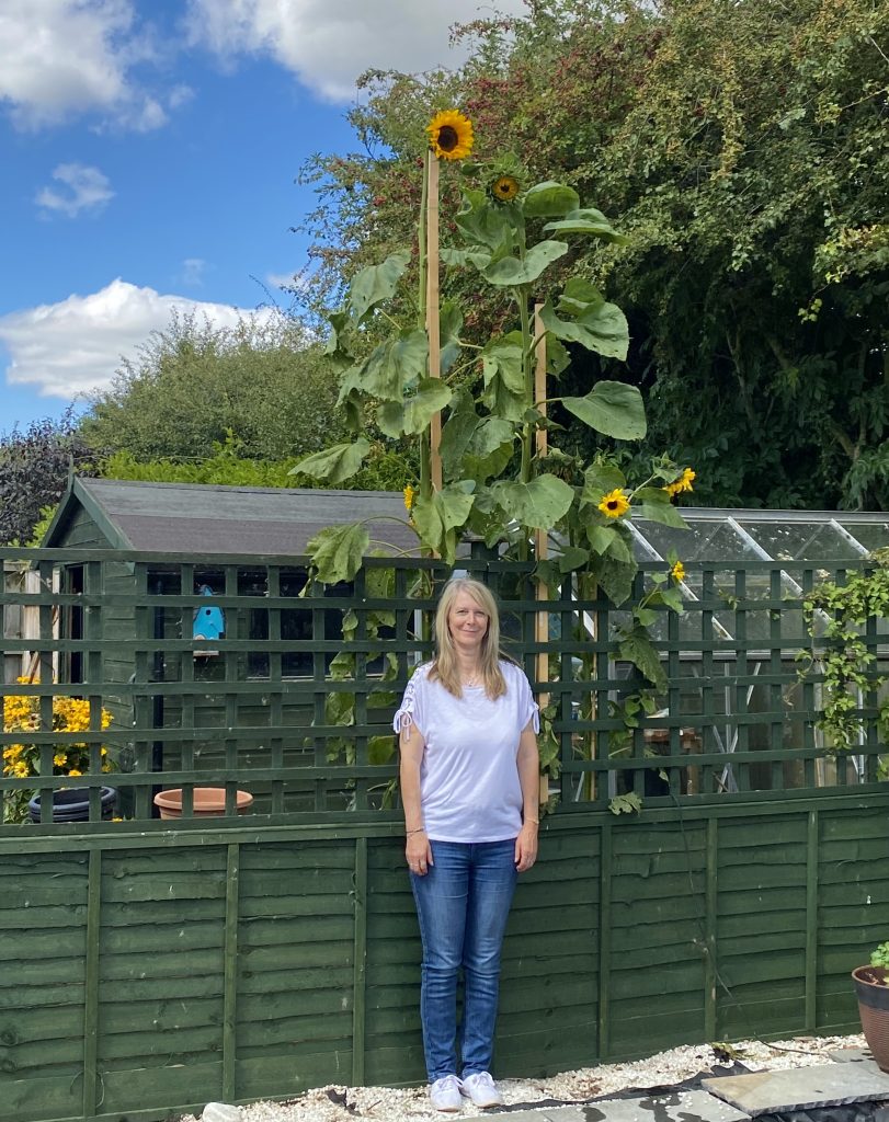 LETTERS – An 11ft tall flower - The Voice