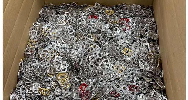 School helped charity ring in donations – The Voice